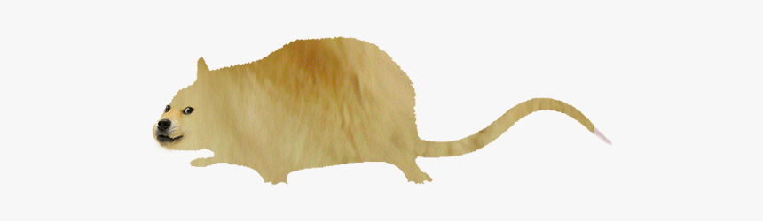 Rat Png, Transparent Png , Transparent Png Image - PNGitem