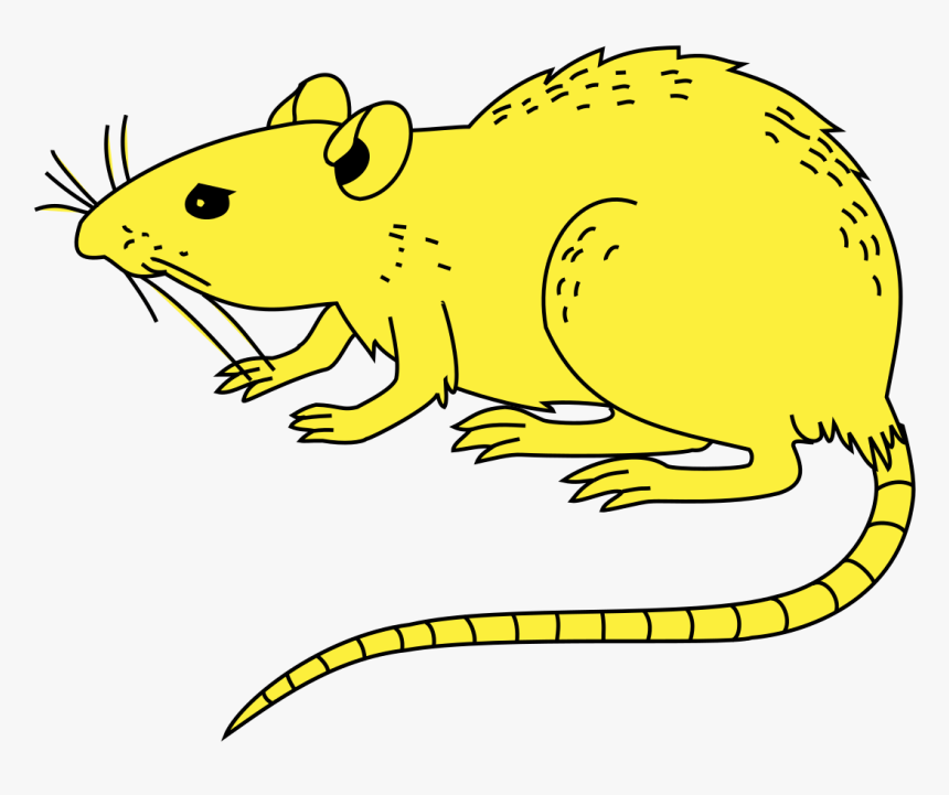 Rat Png, Transparent Png , Transparent Png Image - PNGitem