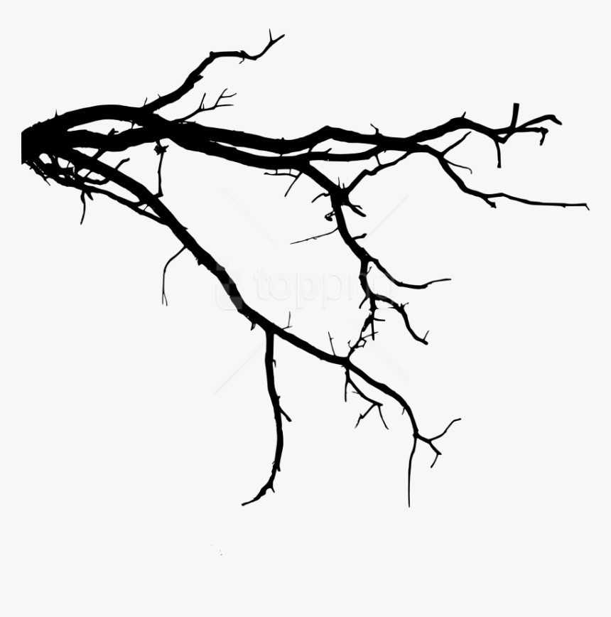 Free Png Tree Branch Png, Transparent Png , Transparent Png Image - PNGitem
