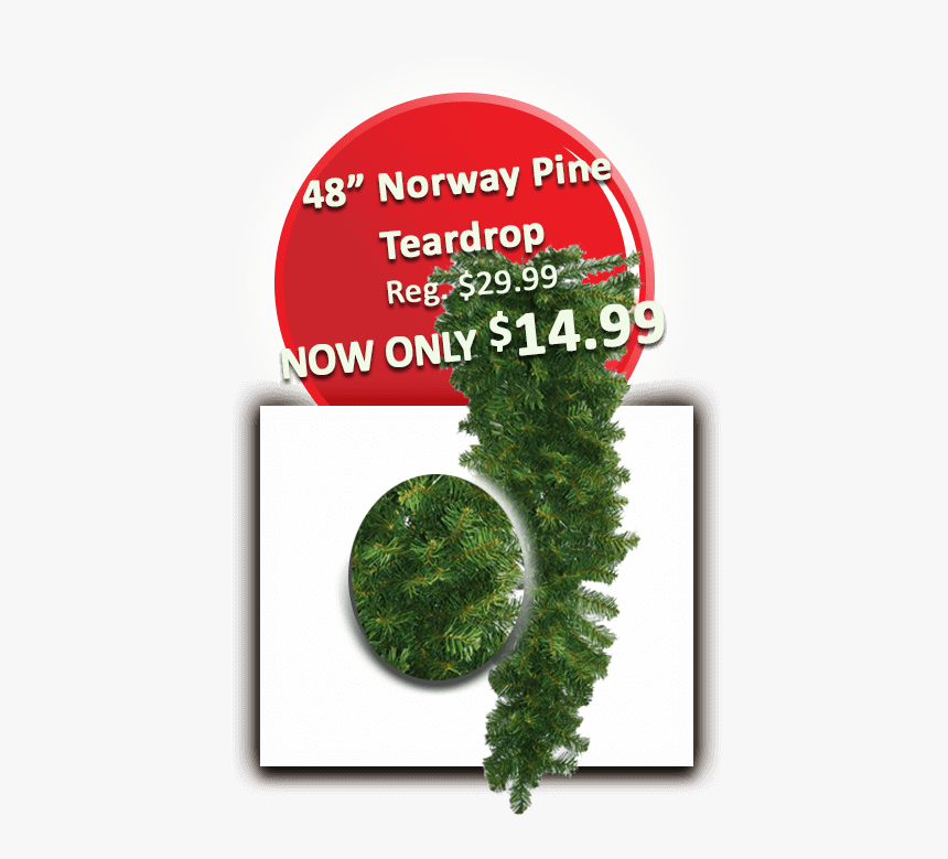 Transparent Tear Drop Png, Png Download , Transparent Png Image - PNGitem