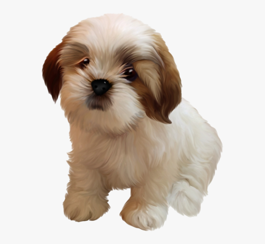Shih Tzu Puppy Png Image, Transparent Png , Transparent Png Image - PNGitem