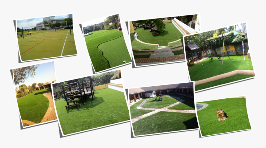 Transparent Tall Grass Texture Png, Png Download , Transparent Png ...