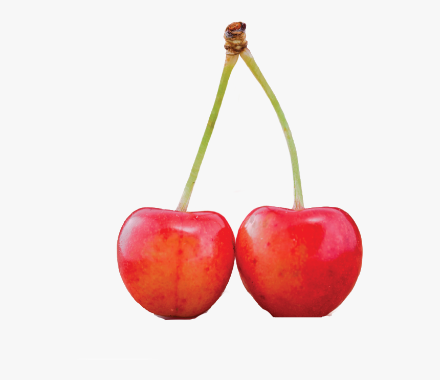 Red Cherry Png Free Background, Transparent Png , Transparent Png Image ...