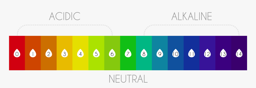 Transparent Ph Scale Clipart, HD Png Download , Transparent Png Image ...