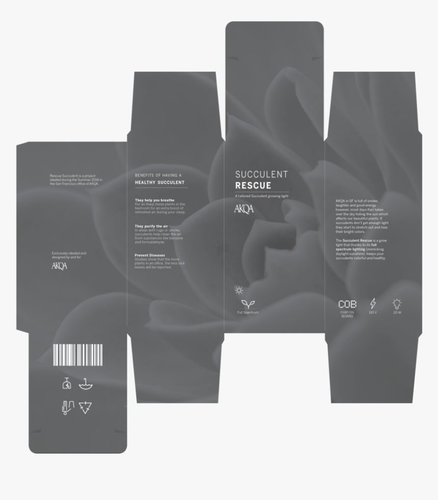 Succulent Lamp Packaging, HD Png Download , Transparent Png Image - PNGitem