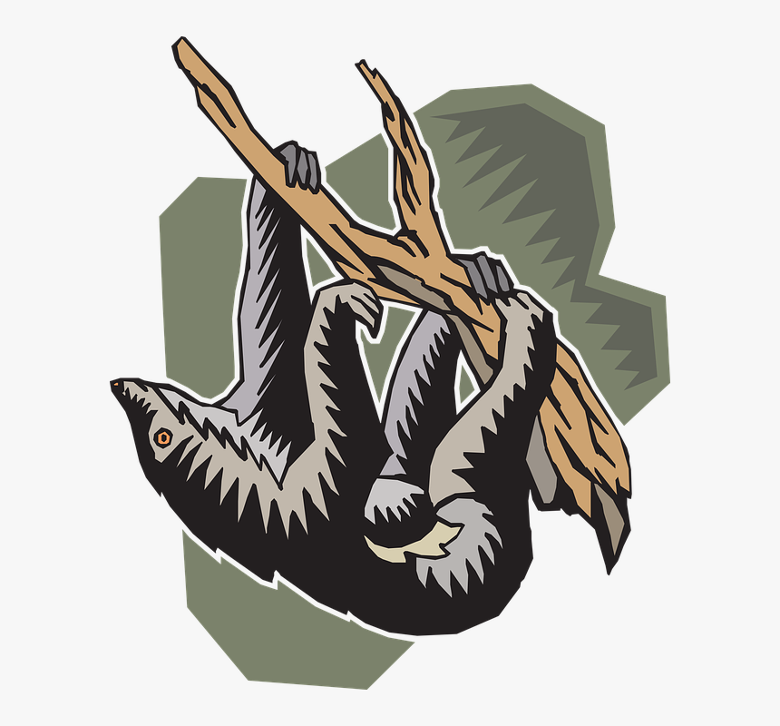 Sloth Png, Transparent Png , Transparent Png Image - PNGitem