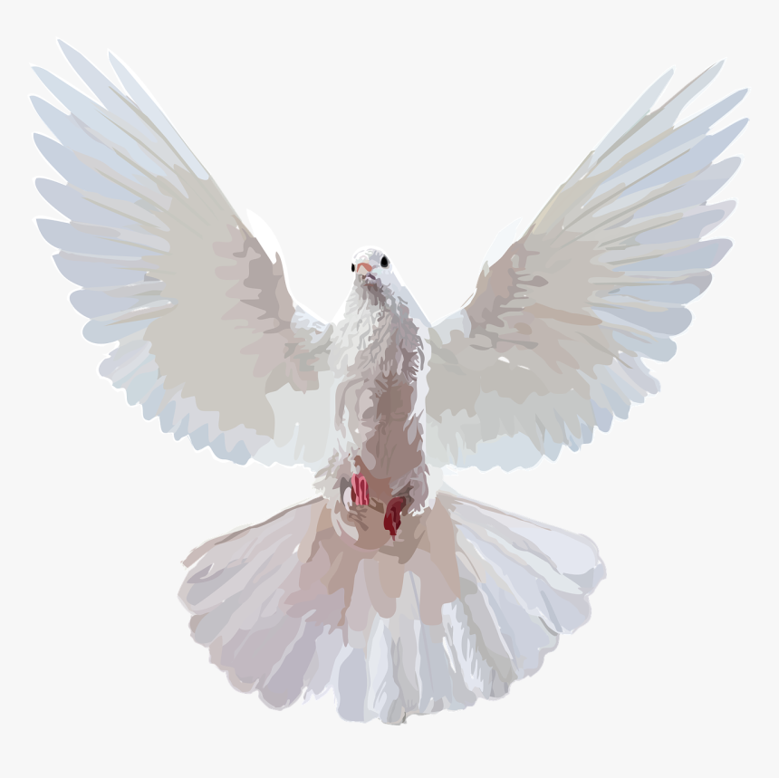 Doves Png, Transparent Png , Transparent Png Image - PNGitem