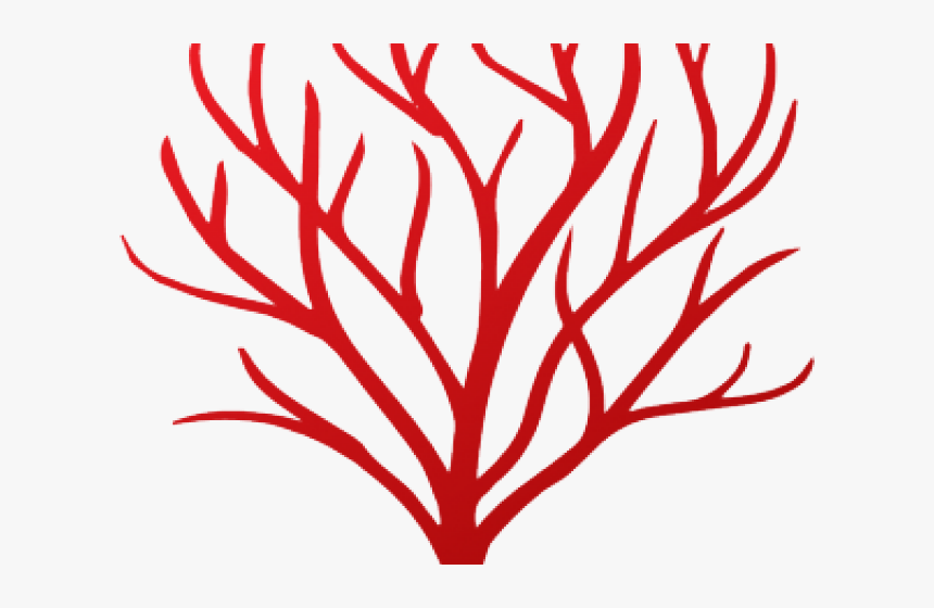 Coral Clipart Red Coral, HD Png Download , Transparent Png Image - PNGitem