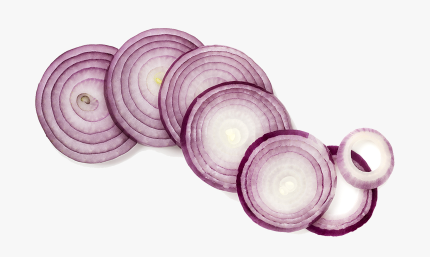 Onion Sliced Transparent Png , Png Download, Png Download , Transparent ...