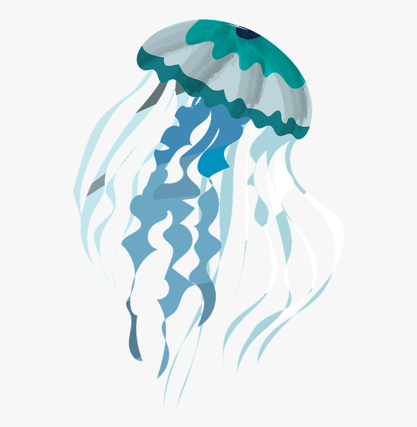 Clip Art Jelly Fish