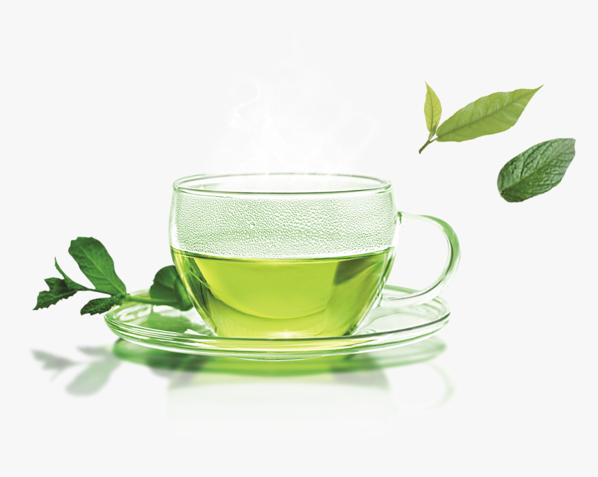 Green Tea Transparent Images - Green Tea Images Png, Png Download ...