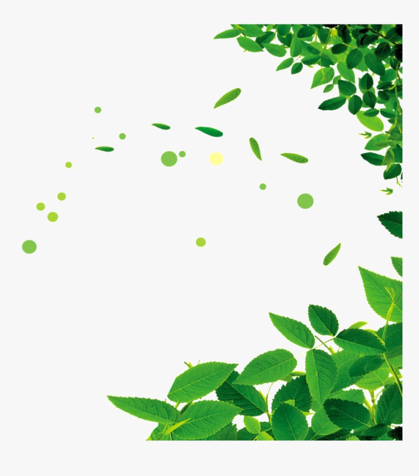 Transparent Famine Clipart - Green Leaf Frame Png, Png Download ...