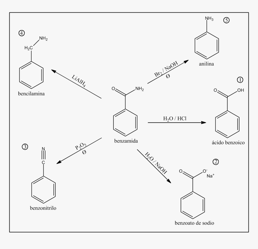 Reacciones Benzamida, HD Png Download , Transparent Png Image - PNGitem