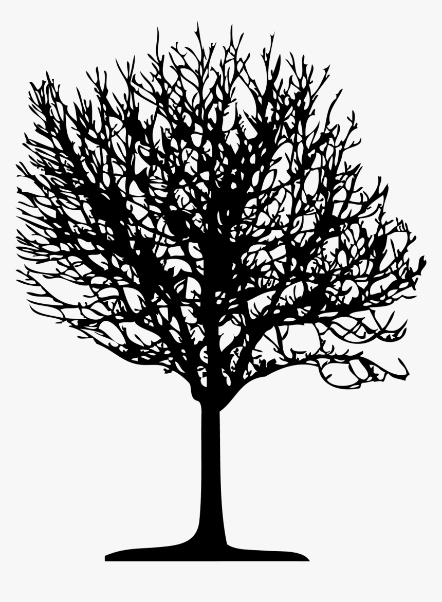 Tree Vector, HD Png Download , Transparent Png Image - PNGitem