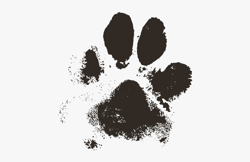 Paw, HD Png Download , Transparent Png Image - PNGitem