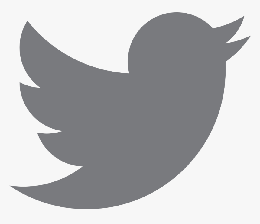 Twitter Logo Grey Png, Transparent Png , Transparent Png Image - PNGitem