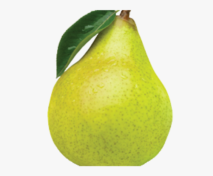 Pear Png, Transparent Png , Transparent Png Image - PNGitem