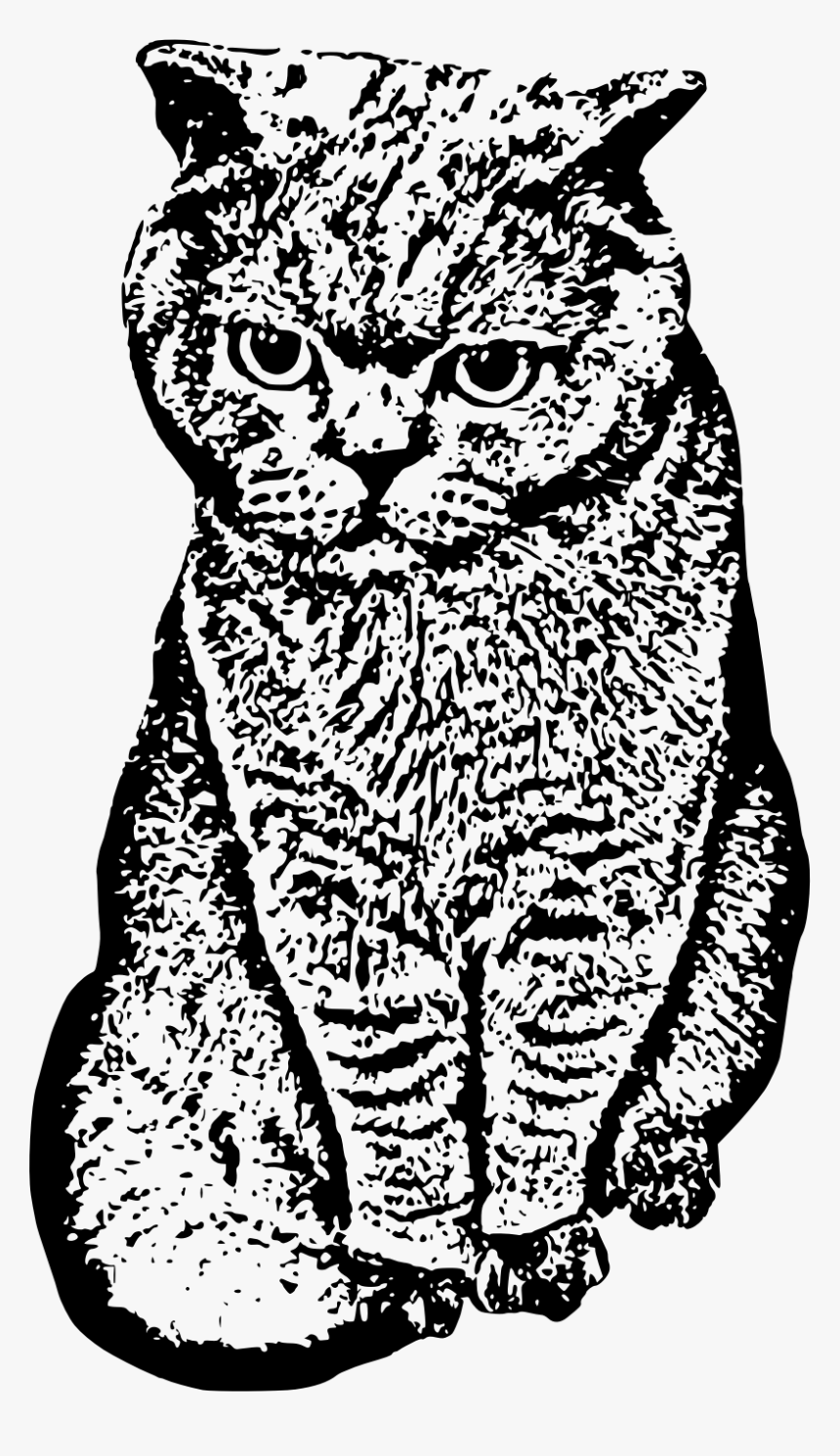 Transparent Cat Face Png, Png Download , Transparent Png Image - PNGitem