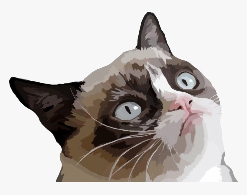 Grumpy Cat Face Transparent Png, Png Download , Transparent Png Image ...