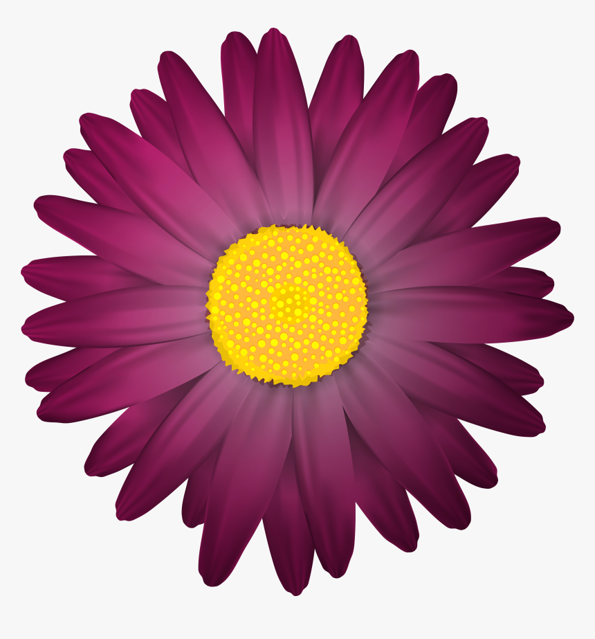 Transparent Png Clip Art, Png Download , Transparent Png Image - PNGitem