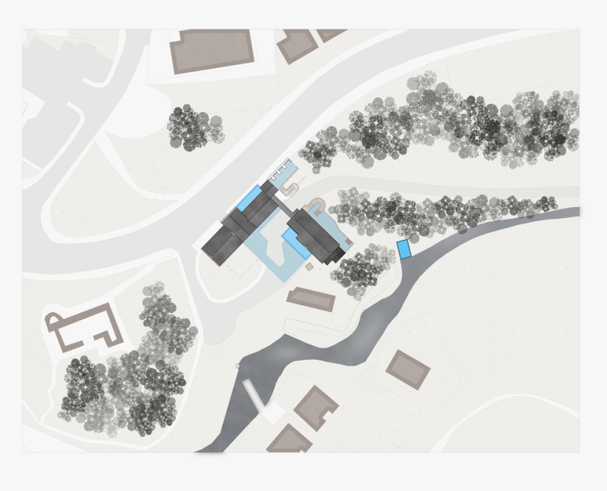 Transparent Tree Plan Png, Png Download , Transparent Png Image - PNGitem