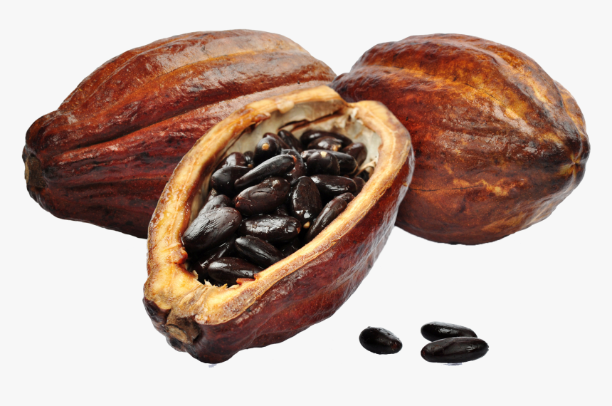 Cacao Free Download Png, Transparent Png , Transparent Png Image - PNGitem