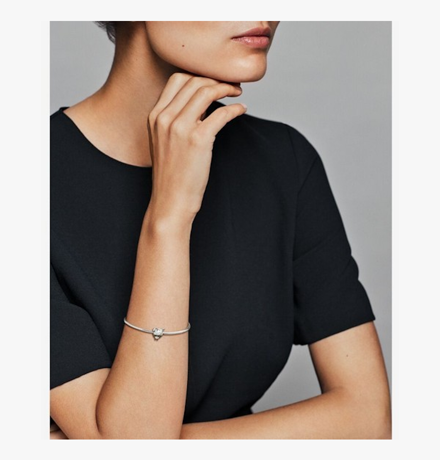 Pandora Moments Charm 798253 Title Pandora Moments, HD Png Download ...