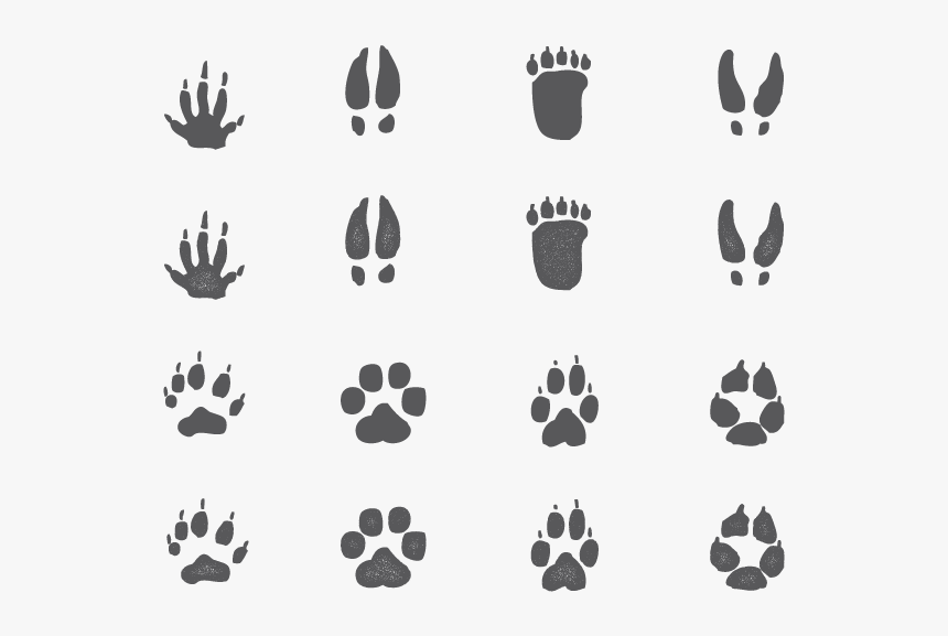 Animal Footprints Png, Transparent Png , Transparent Png Image - PNGitem