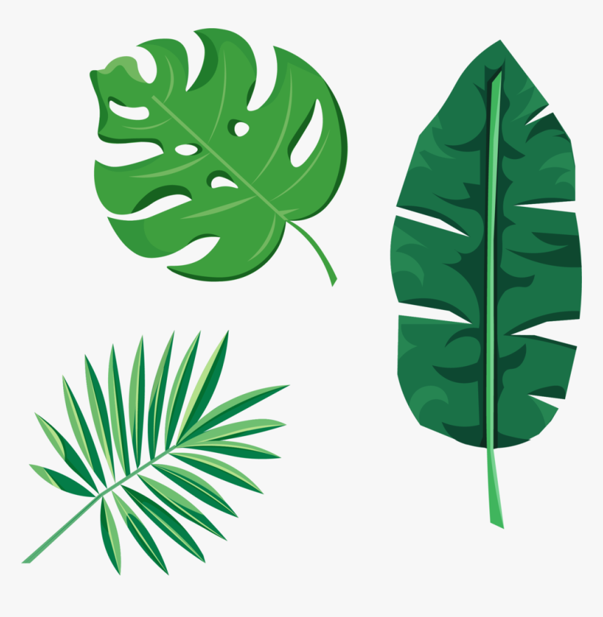 Tropical Leaves, HD Png Download , Transparent Png Image - PNGitem
