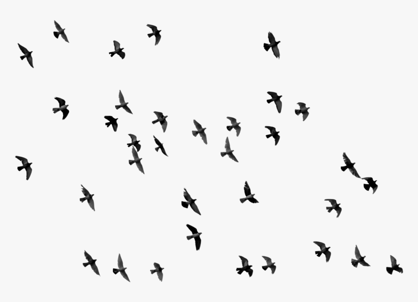 Censor Bar Png, Transparent Png , Transparent Png Image - PNGitem