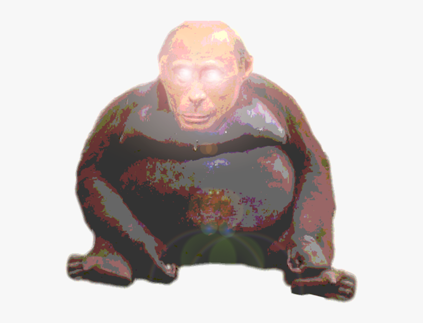 Human, HD Png Download , Transparent Png Image - PNGitem