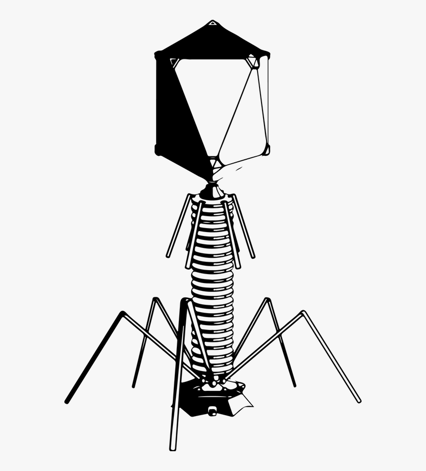 Shit Png, Transparent Png , Transparent Png Image - PNGitem