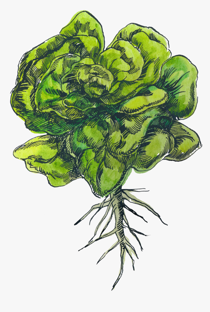 Transparent Leafy Png, Png Download , Transparent Png Image - PNGitem