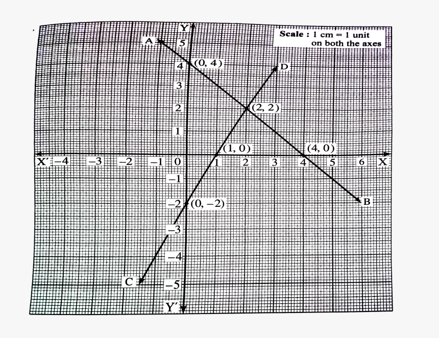 Graph Paper Png, Transparent Png , Transparent Png Image - PNGitem