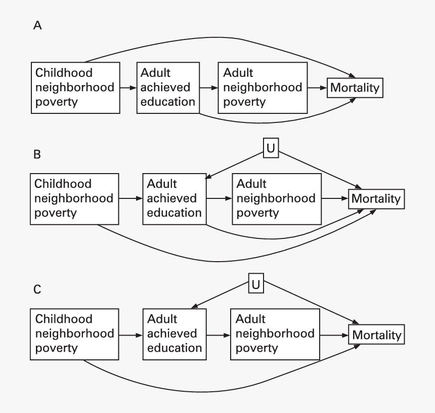 Transparent Graph Paper Png, Png Download , Transparent Png Image - PNGitem