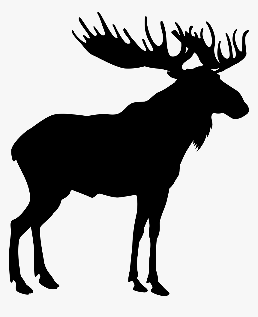 Moose Graphics Png, Transparent Png , Transparent Png Image - PNGitem