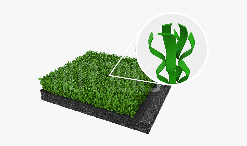 Grass Field Png, Transparent Png , Transparent Png Image - PNGitem