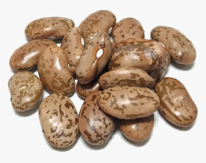 Beans Png, Transparent Png , Transparent Png Image - PNGitem