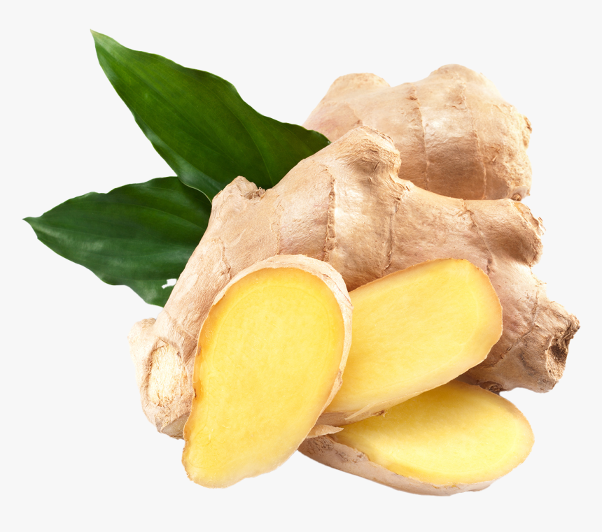 Ginger Png, Transparent Png , Transparent Png Image - PNGitem