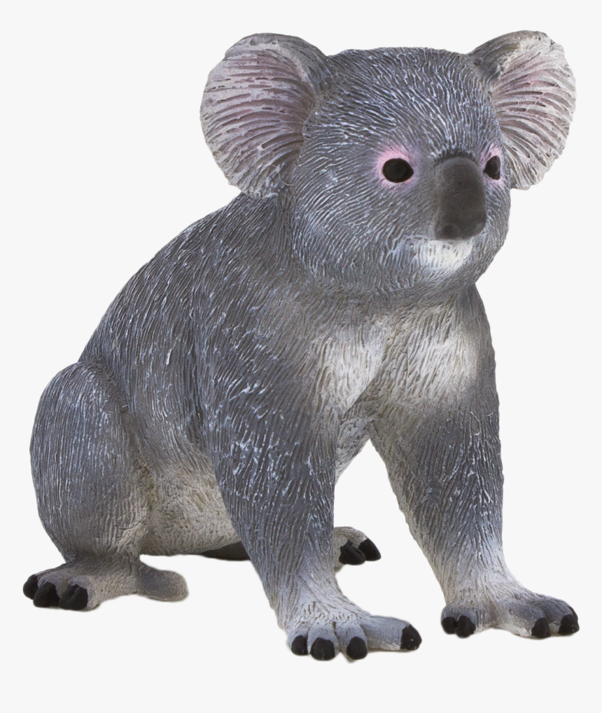 Koala Png, Transparent Png , Transparent Png Image - PNGitem