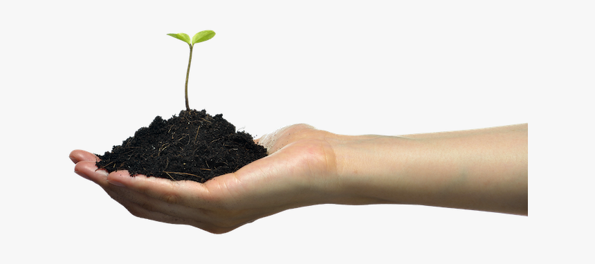 Soil Png, Transparent Png , Transparent Png Image - PNGitem