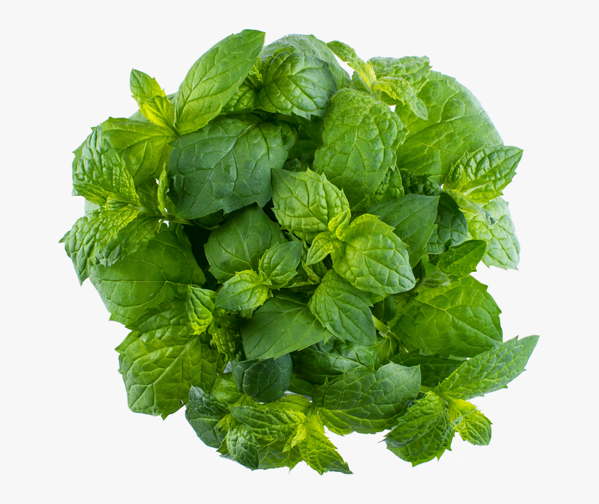 Mint Png, Transparent Png , Transparent Png Image - PNGitem