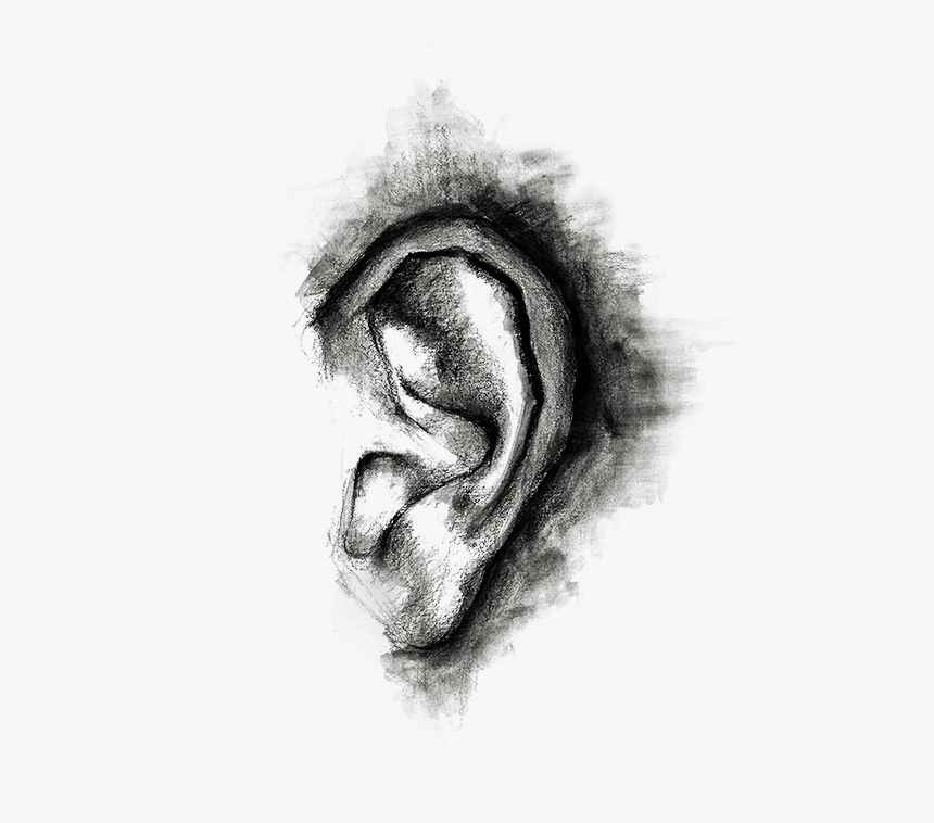 Transparent Realistic Scar Png, Png Download , Transparent Png Image ...