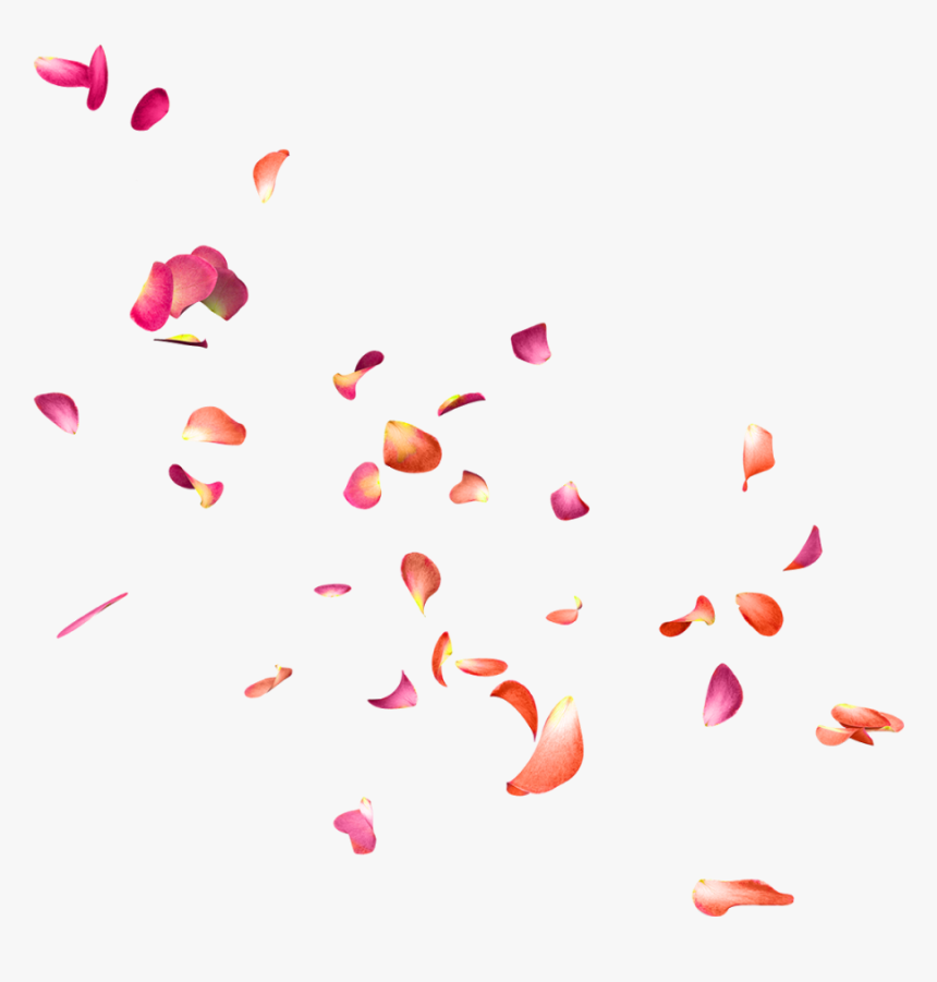 Falling Rose Petals Png, Transparent Png , Transparent Png Image - PNGitem
