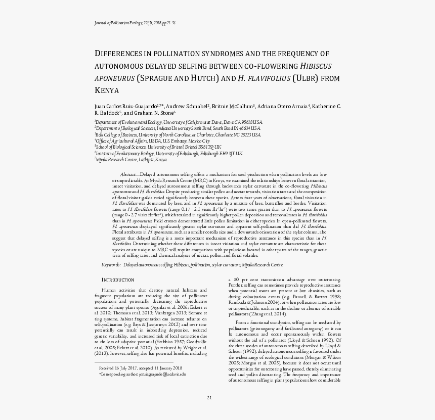 Flower Mala Png, Transparent Png , Transparent Png Image - PNGitem