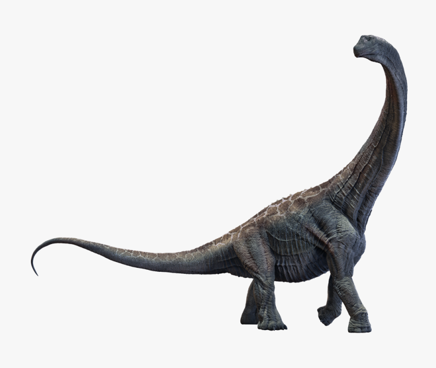 Extinct Animals White Background , Png Download, Transparent Png ...