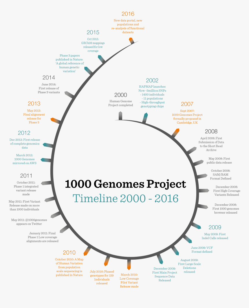 1000 Timeline Portrait, HD Png Download , Transparent Png Image - PNGitem