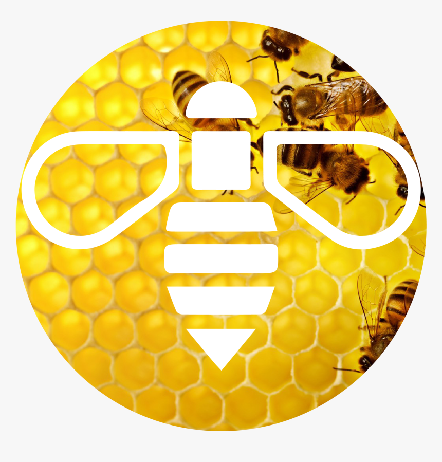 Transparent Beehive Pattern Png, Png Download , Transparent Png Image ...