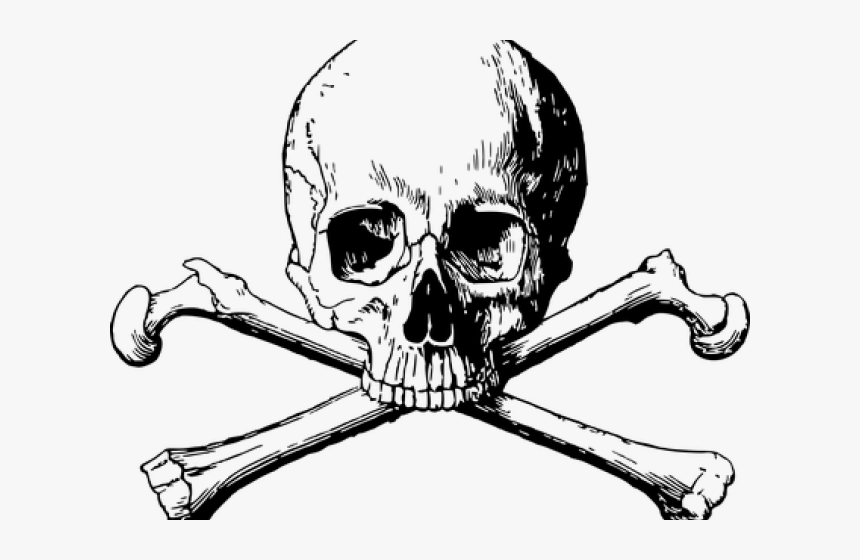Transparent Anthropology Clipart, HD Png Download , Transparent Png ...