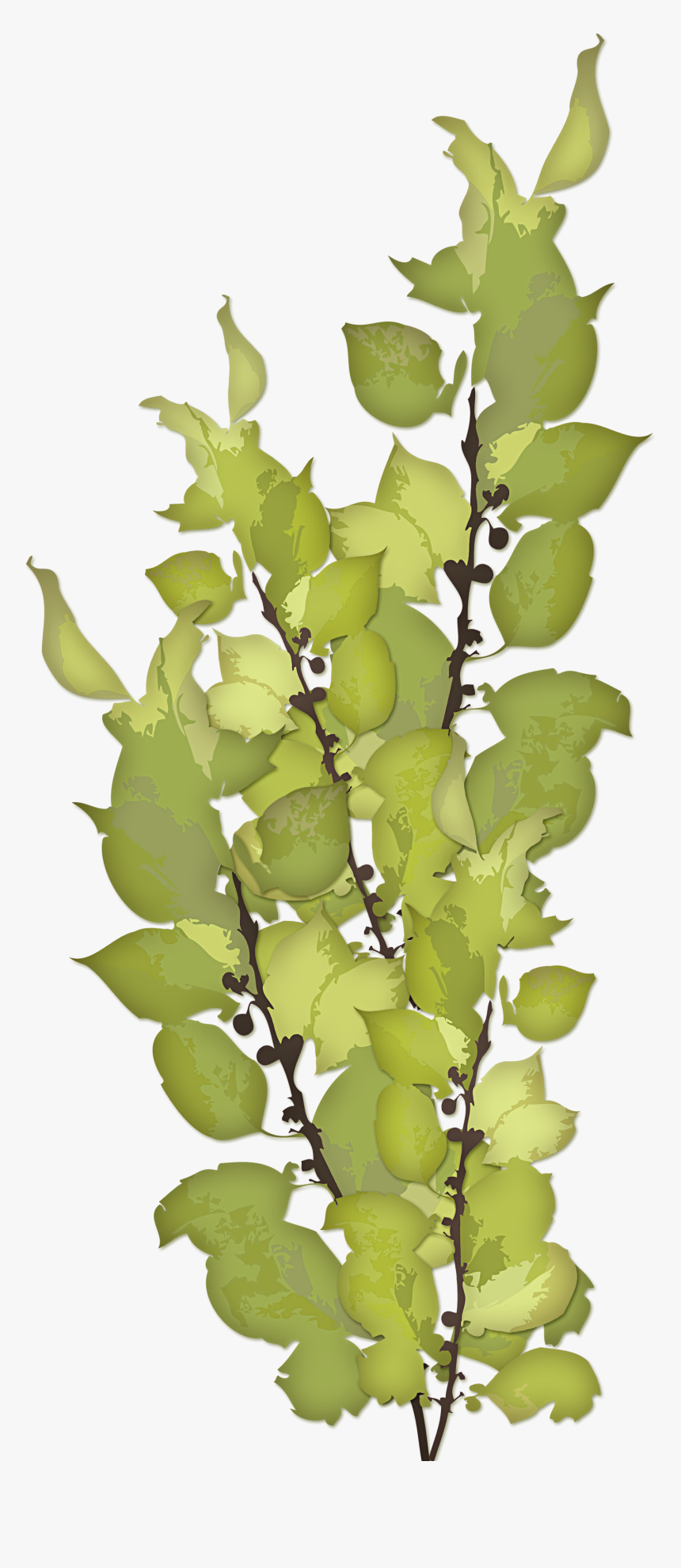 Greenery Png, Transparent Png , Transparent Png Image - PNGitem